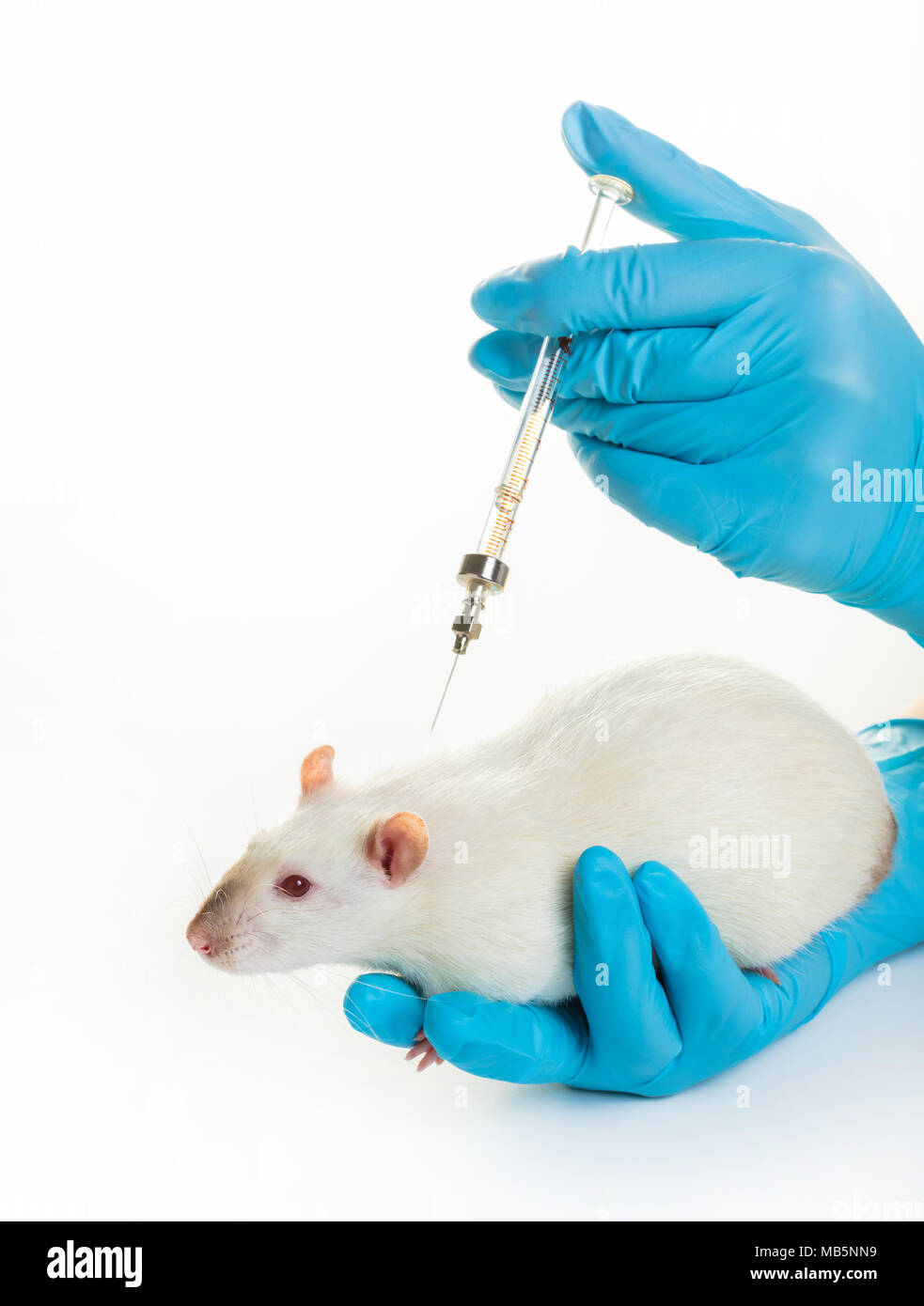 Medical syringe in hands on hi-res stock photography and images - Alamy