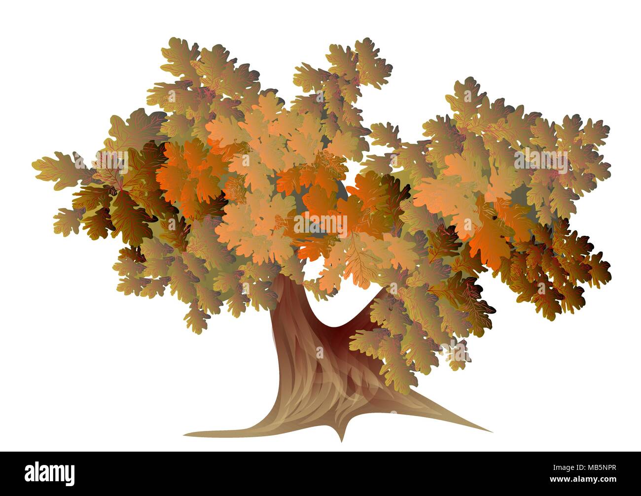abstract autumn oak tree isolated on white background Stock Vector ...