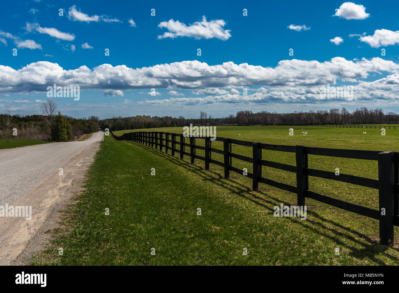 White pasture fence hi-res stock photography and images - Alamy