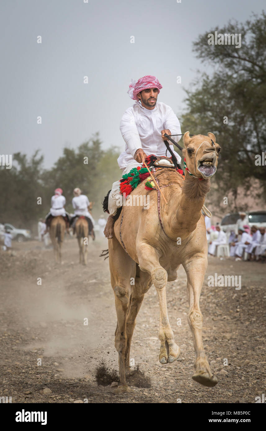 Oman camel racing hi-res stock photography and images - Alamy