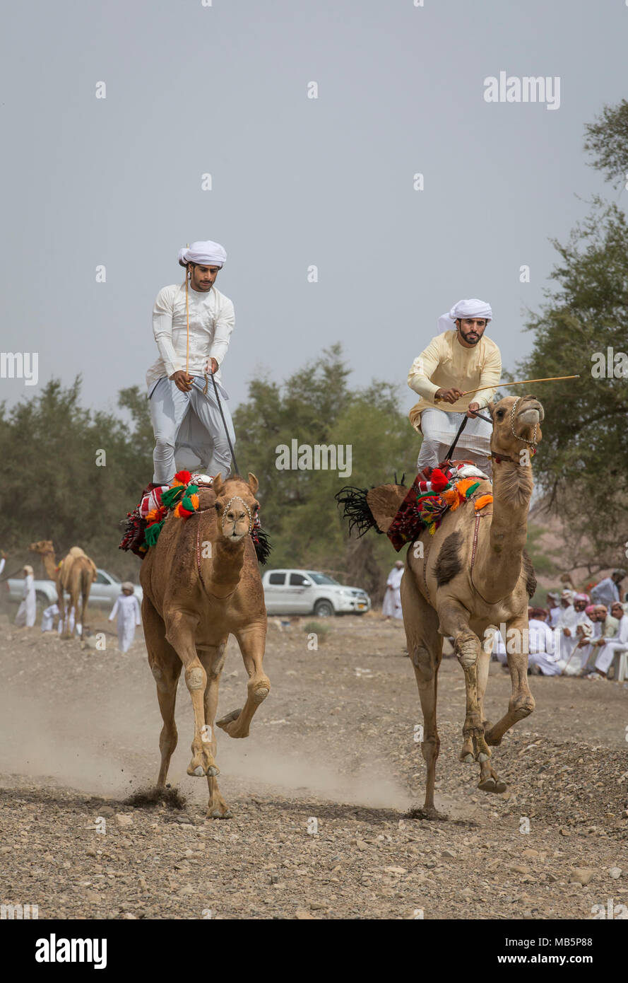 Animal ibri hi-res stock photography and images - Alamy