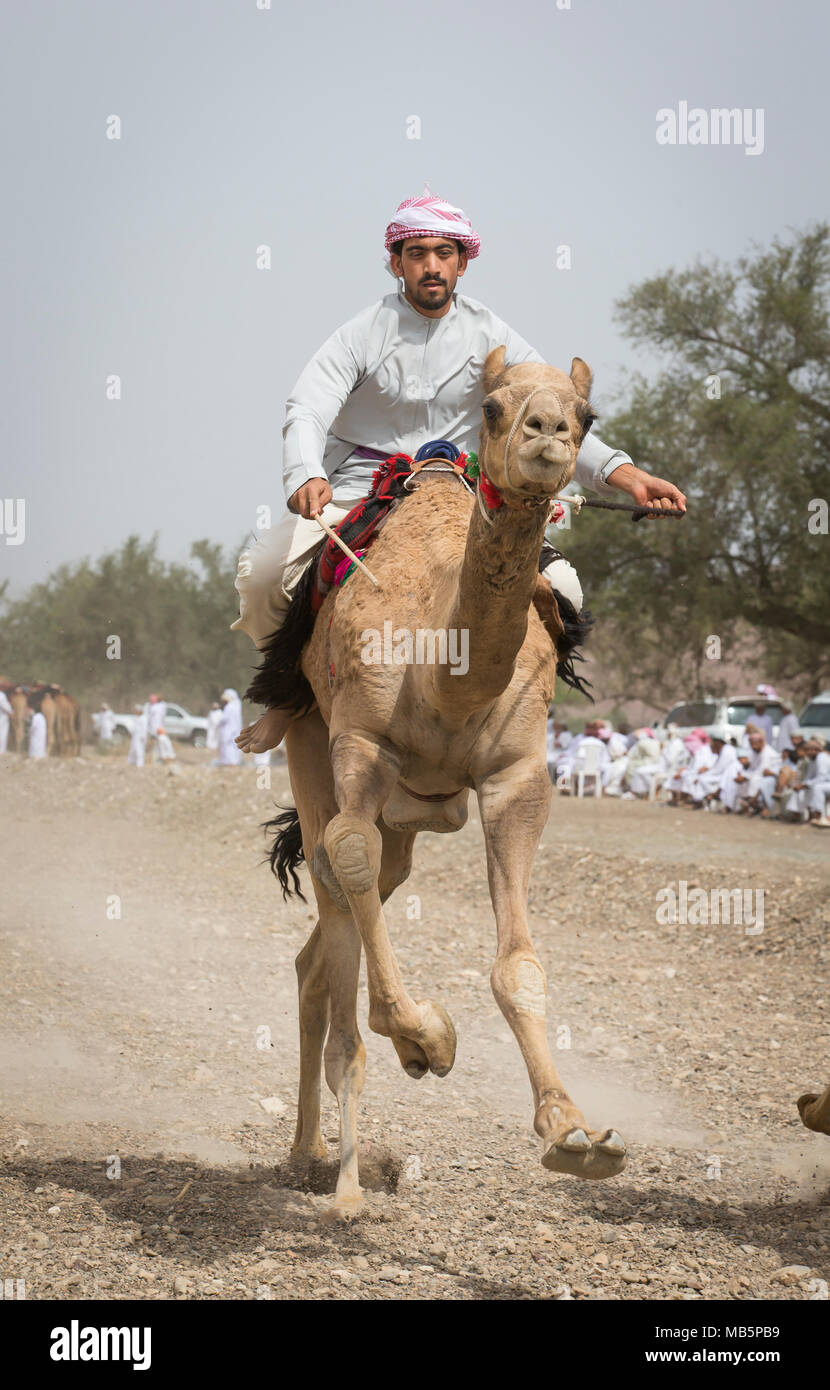 Riding a camel race hi-res stock photography and images - Alamy