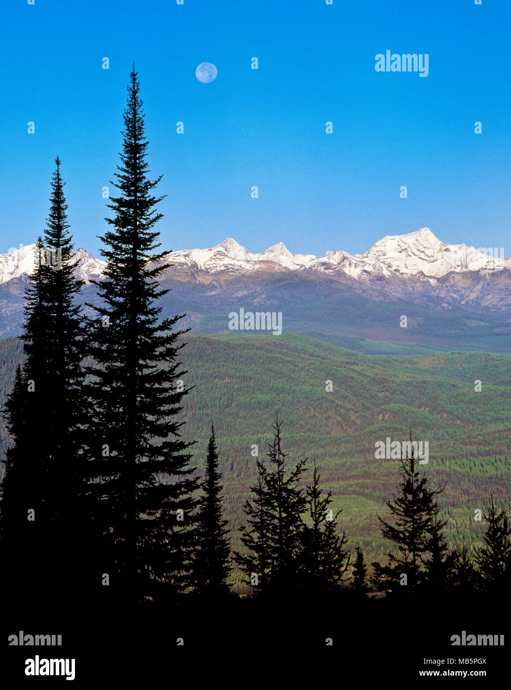 moon setting over the mission mountains near condon, montana Stock ...