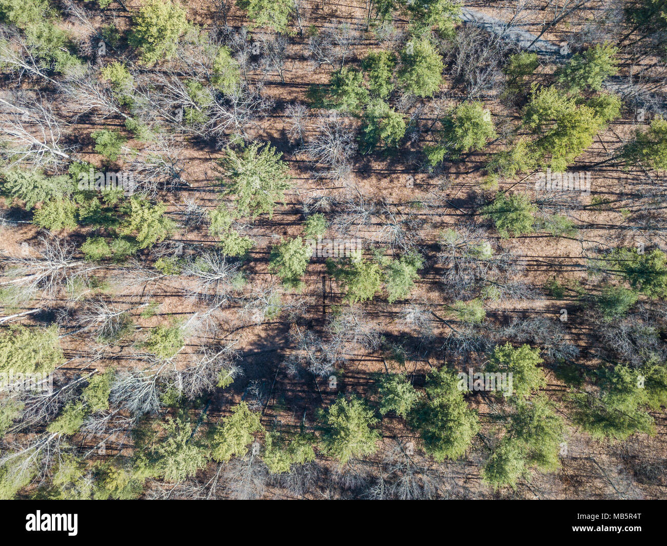 Aerial of Wooded Country Land in mcconnellsburg, Pennsylvania during ...