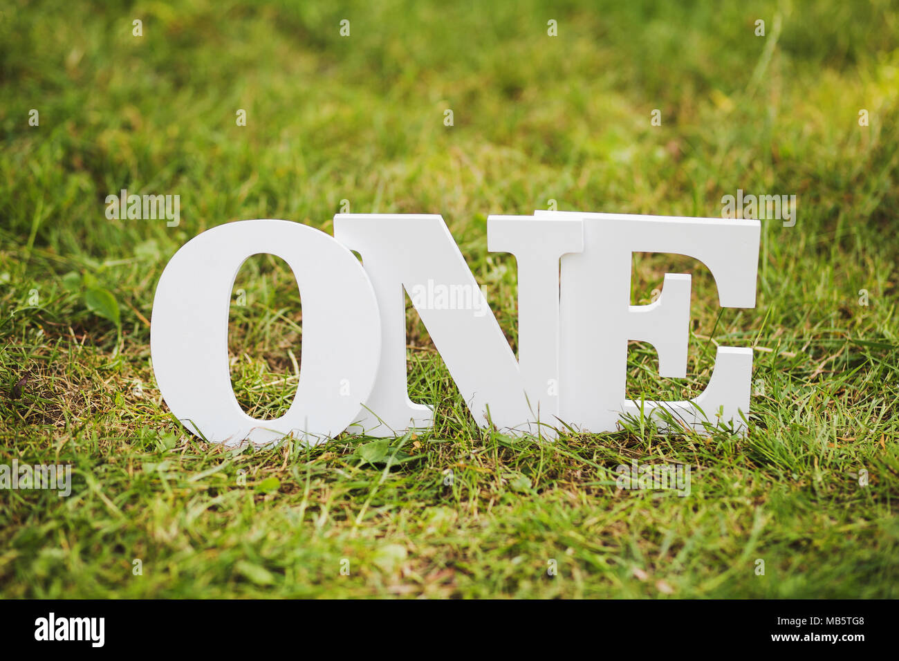 Word One on grass as decor for baby's first birthday celebration ...