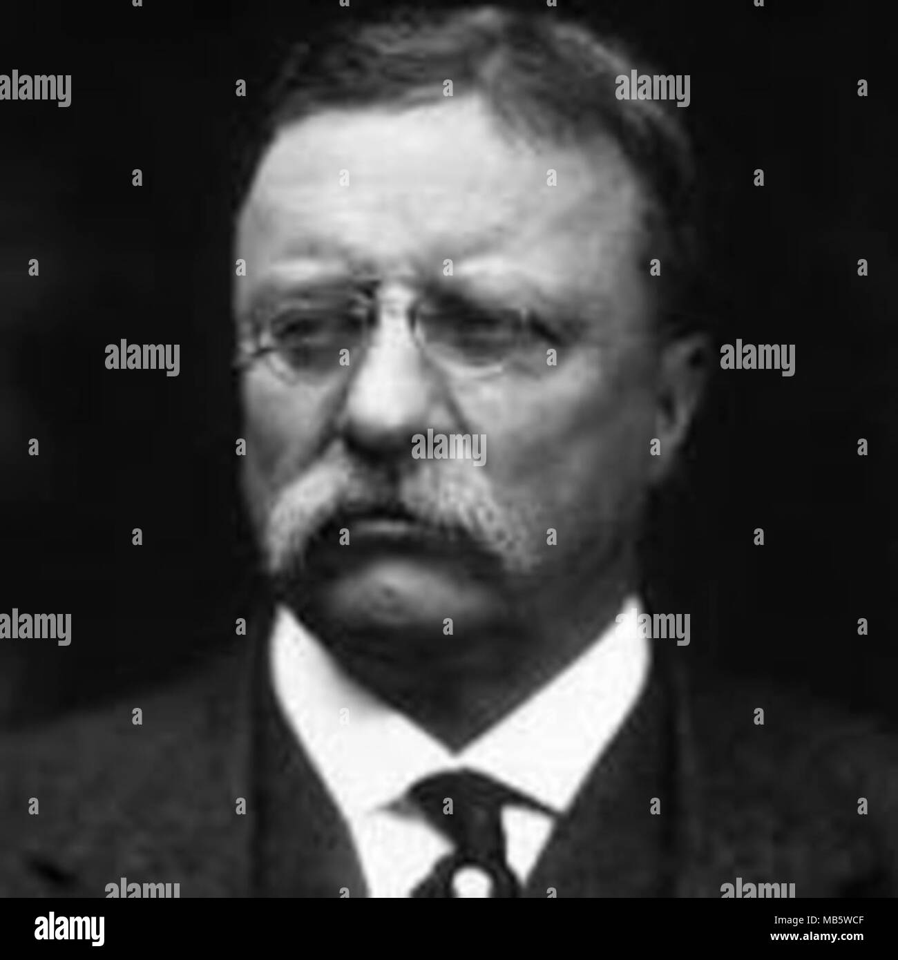 Quote: Speak softly and carry a big stick Stock Photo - Alamy