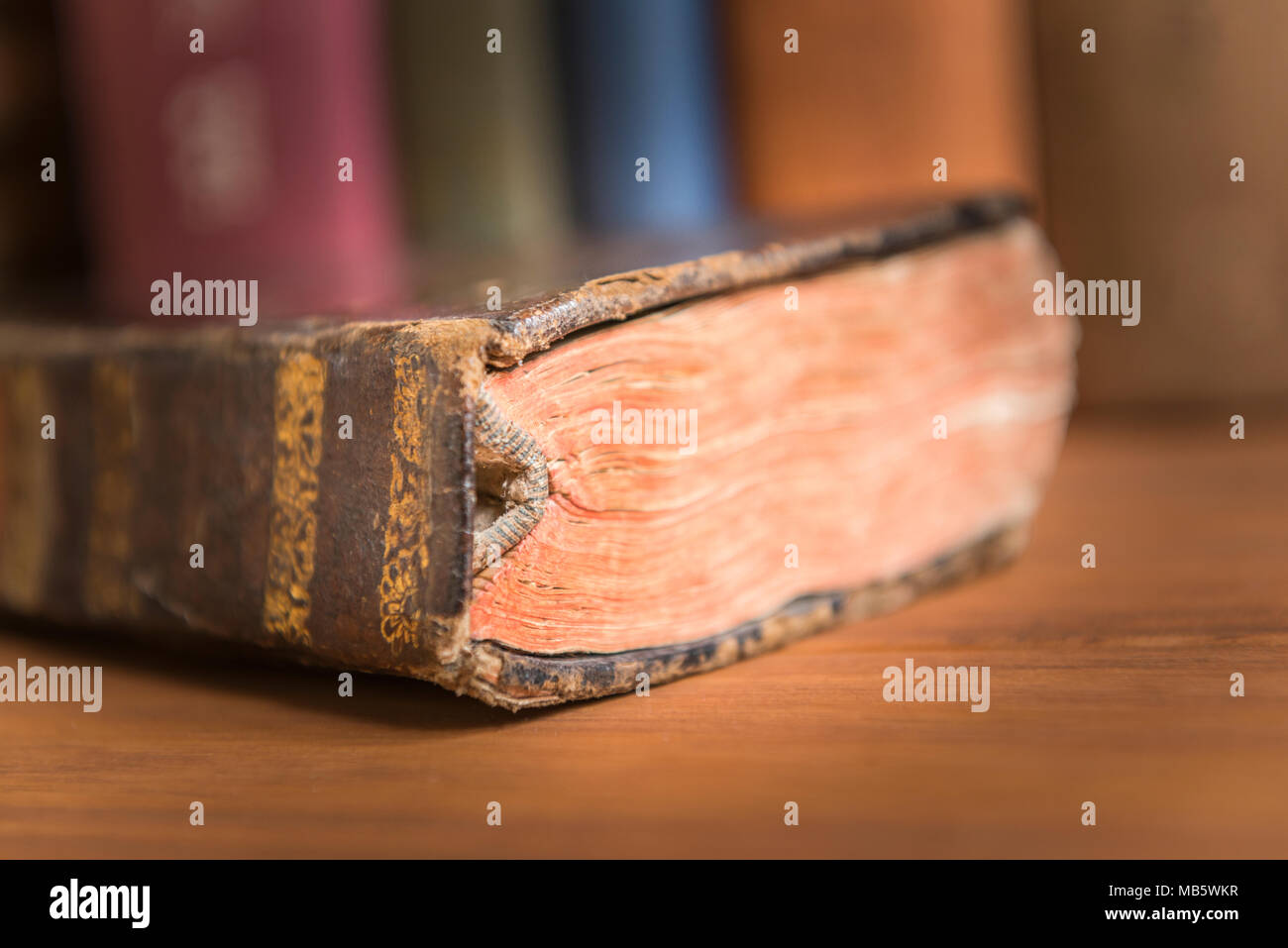Detail photograph of an old book in which the texture of the covers is ...