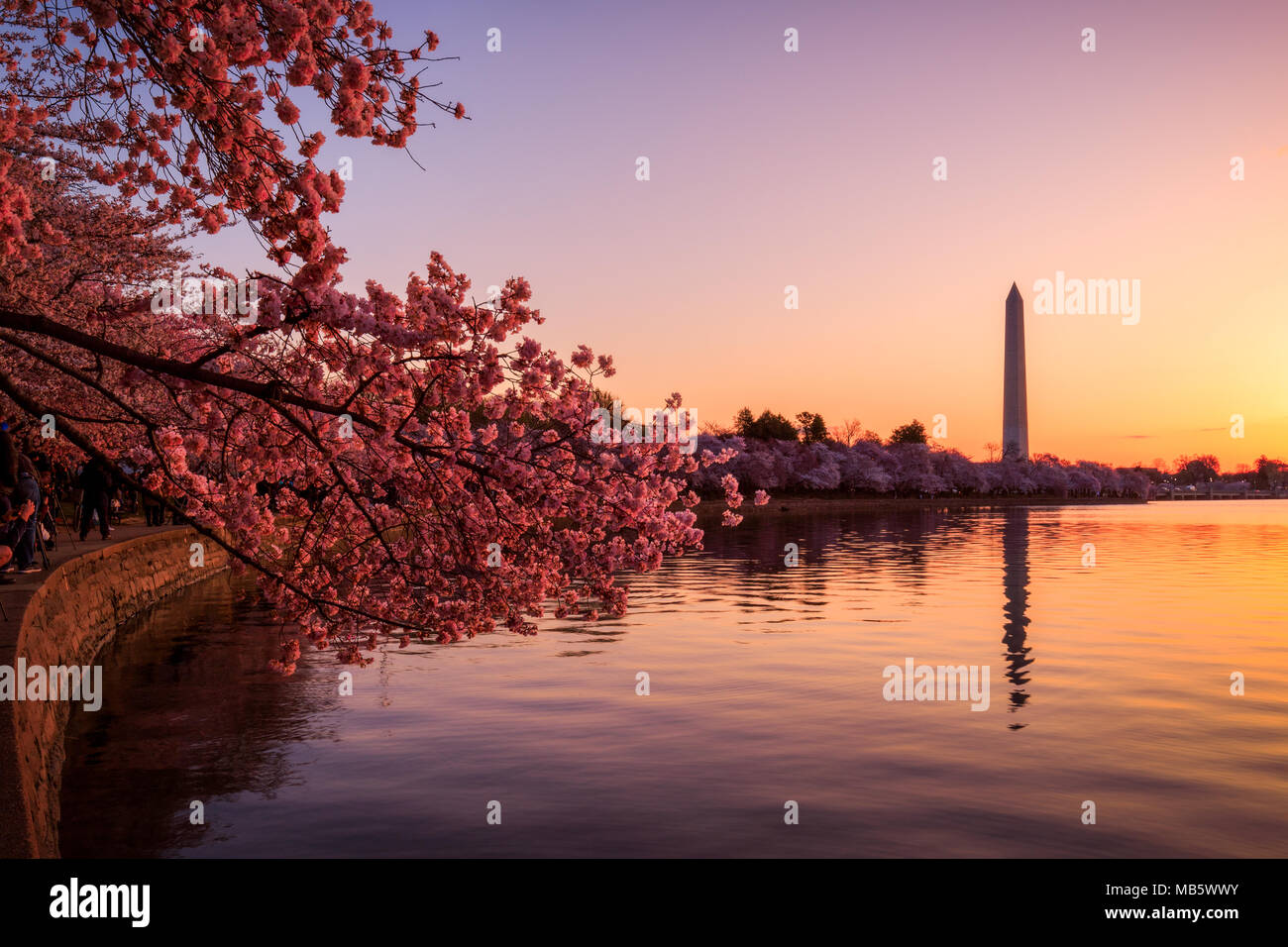 Sunset tidal pond hi-res stock photography and images - Alamy