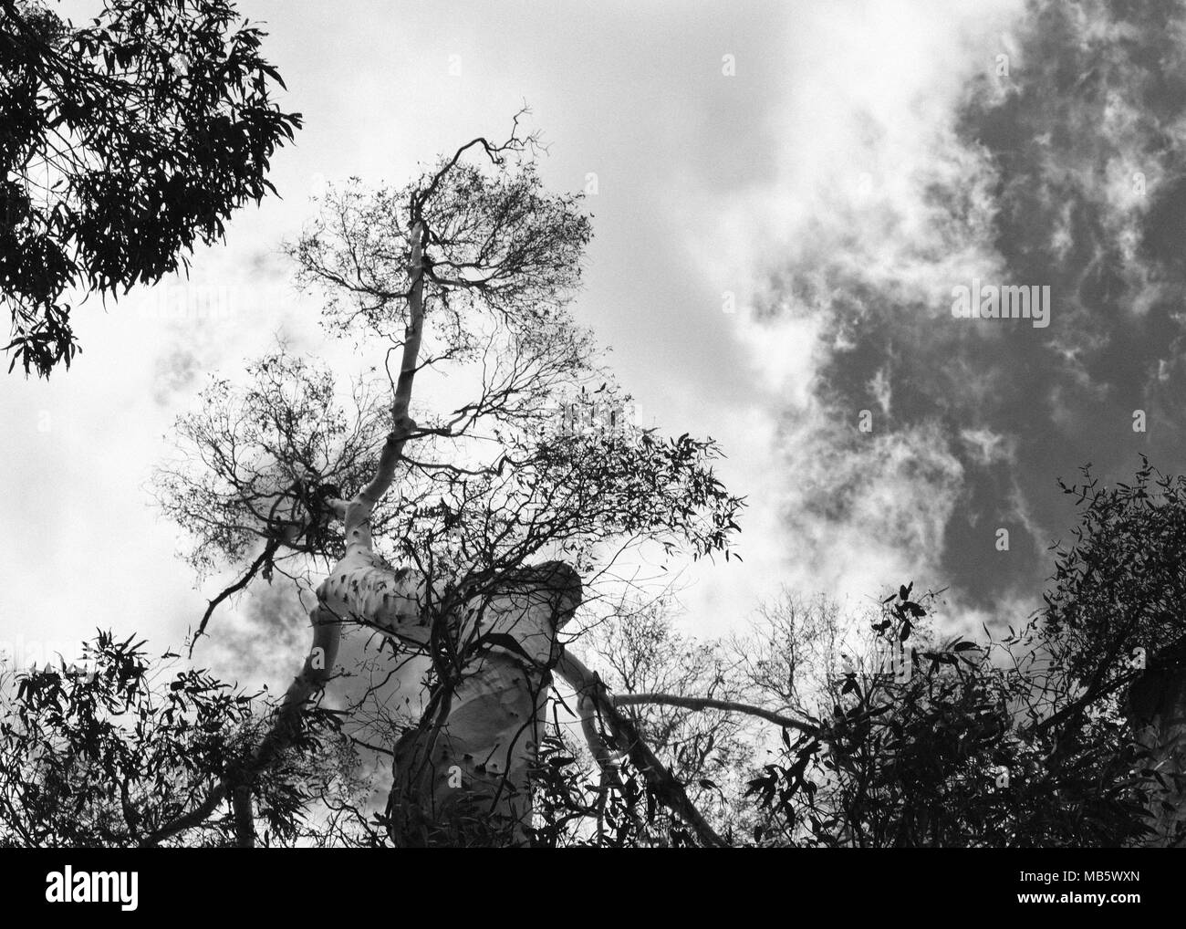 Everyday shapes hi-res stock photography and images - Alamy