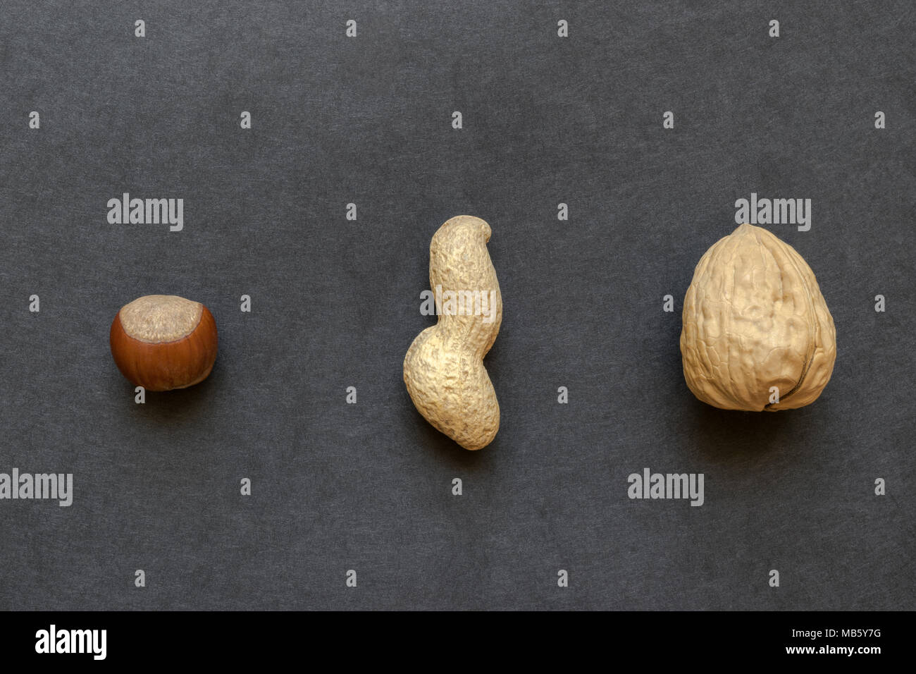 Peanut, Hazelnut and Walnut with nutshells placed on black background ...