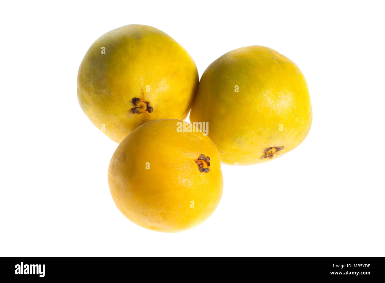 closeup of rare araza fruit from the Amazon area isolated on white ...