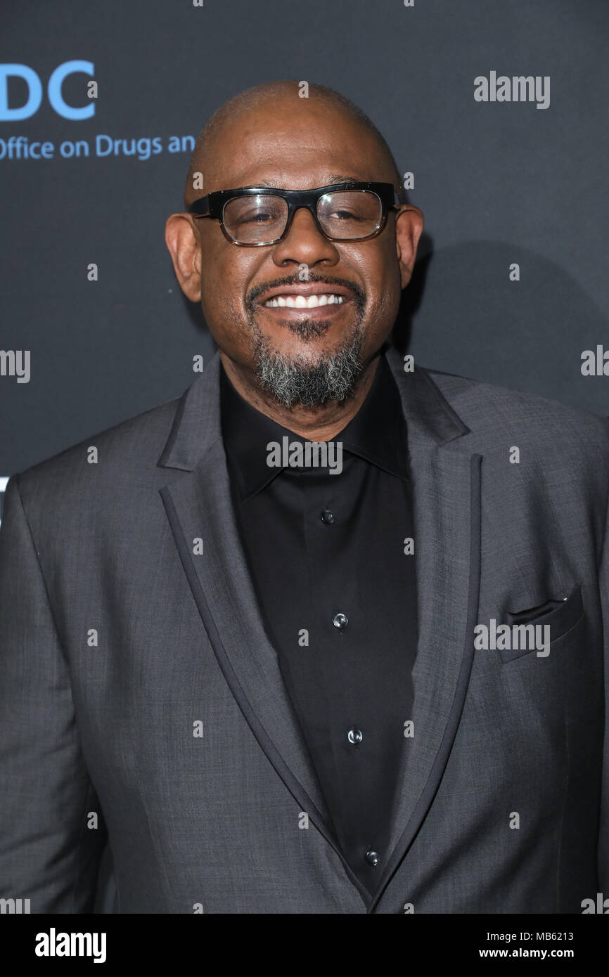 The Forgiven film premiere in Los Angeles, United States. Featuring ...