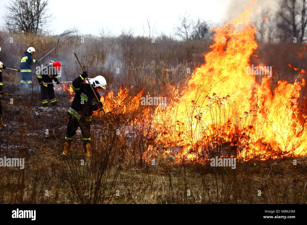 Guard during fire fighting on dry meadows Stock Photo - Alamy