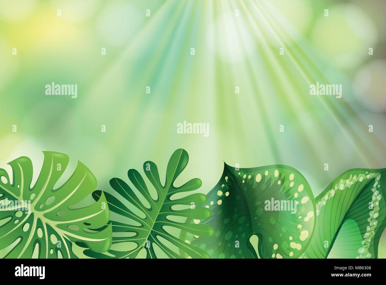 Green forest Nature Background illustration Stock Vector Image & Art ...