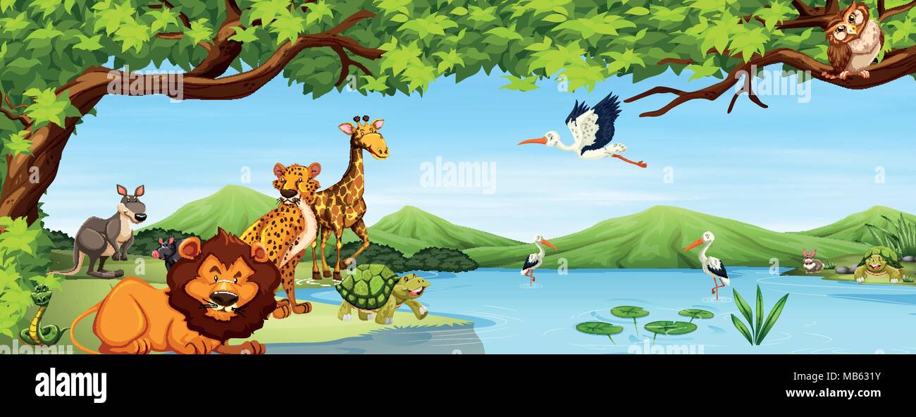 Various wild Animals scene illustration Stock Vector Image & Art - Alamy