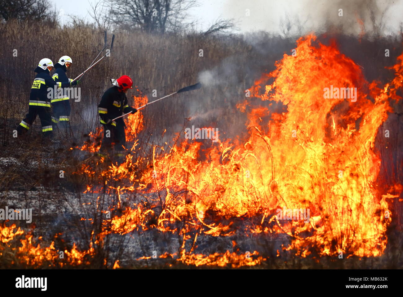 Guard during fire fighting on dry meadows Stock Photo - Alamy