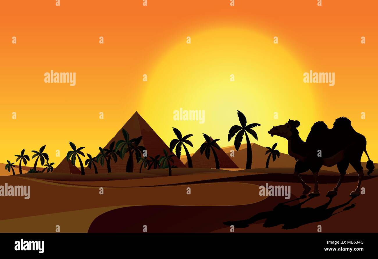 Pyramid and Camel with Desert Scene illustration Stock Vector Image ...