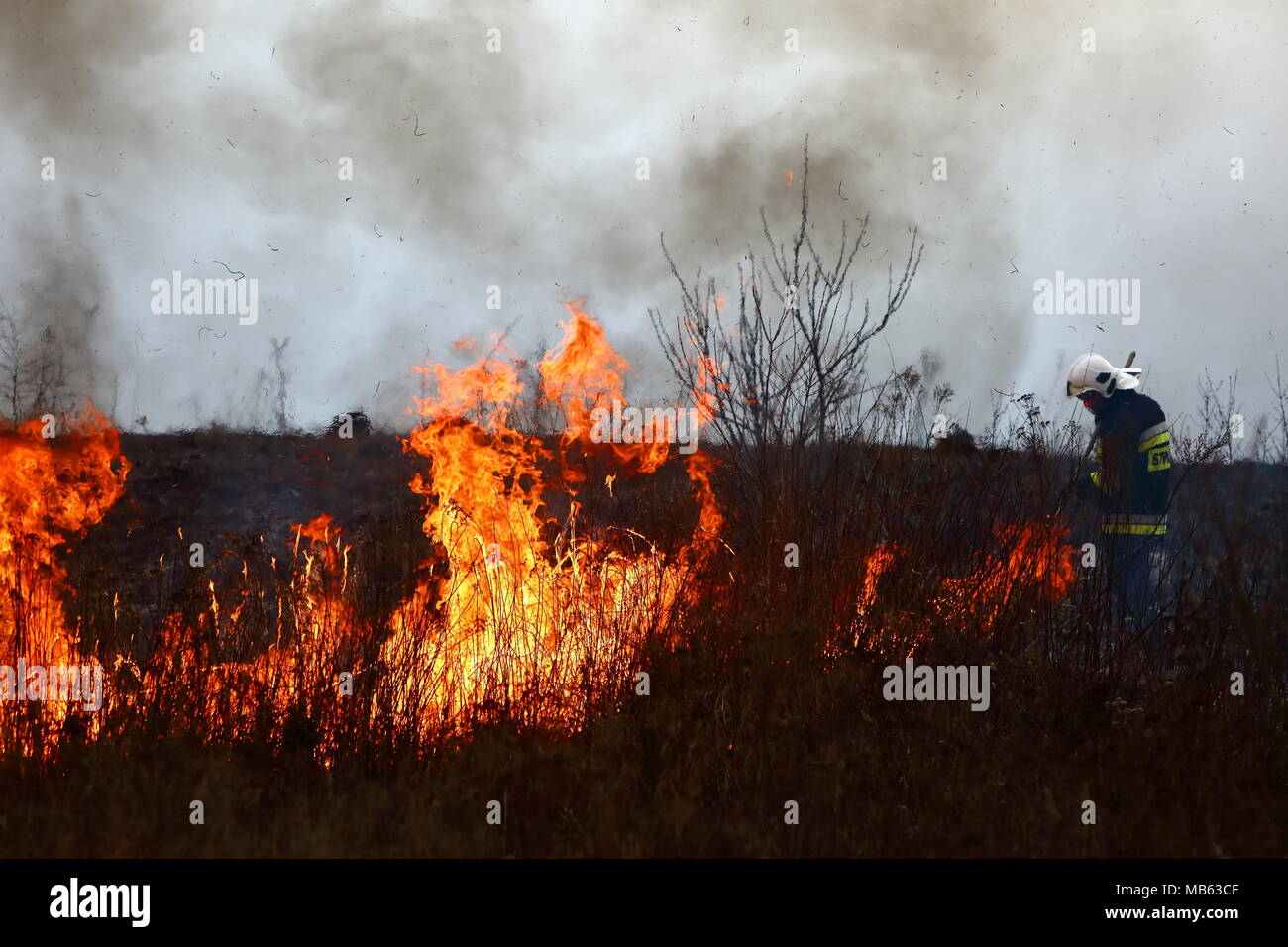 Guard during fire fighting on dry meadows Stock Photo - Alamy