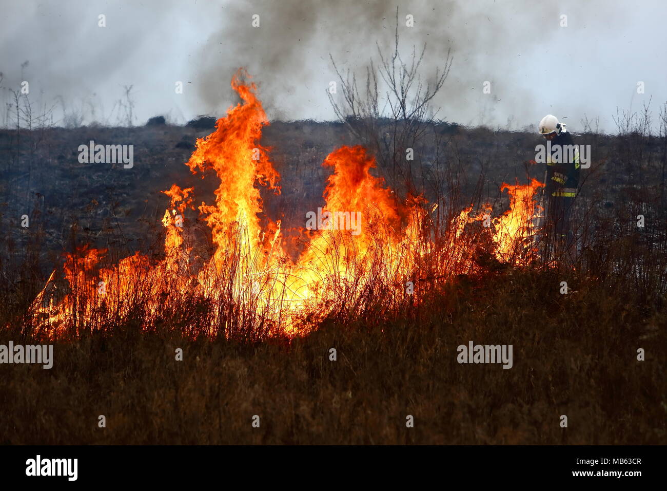 Guard during fire fighting on dry meadows Stock Photo - Alamy