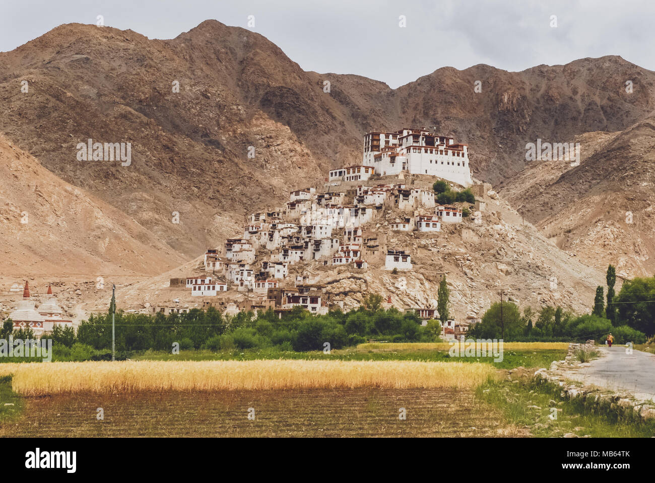 India, Ladakh region: Landscapes, monasteries and ladakhian religious ...