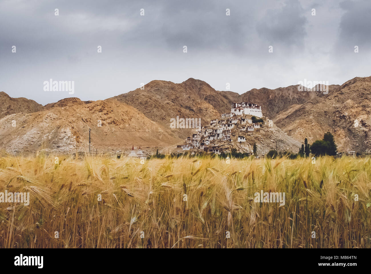 India, Ladakh region: Landscapes, monasteries and ladakhian religious ...