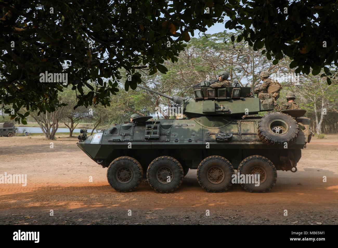 U.S. Marines with Apache Company, 3rd Light Armored Reconnaissance ...