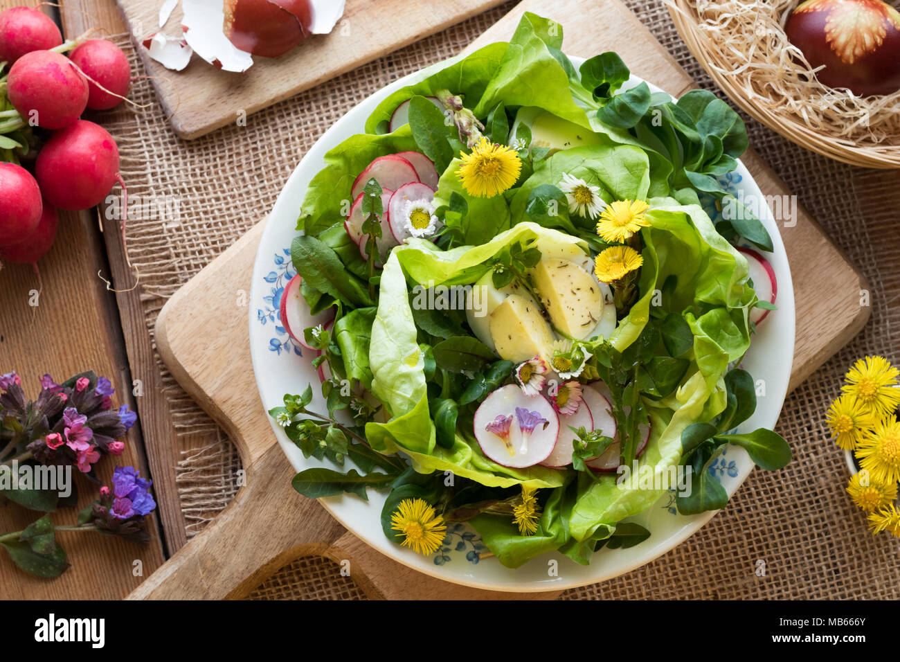 Salad wigh eggs, lettuce, radishes and wild edible plants (coltsfoot ...