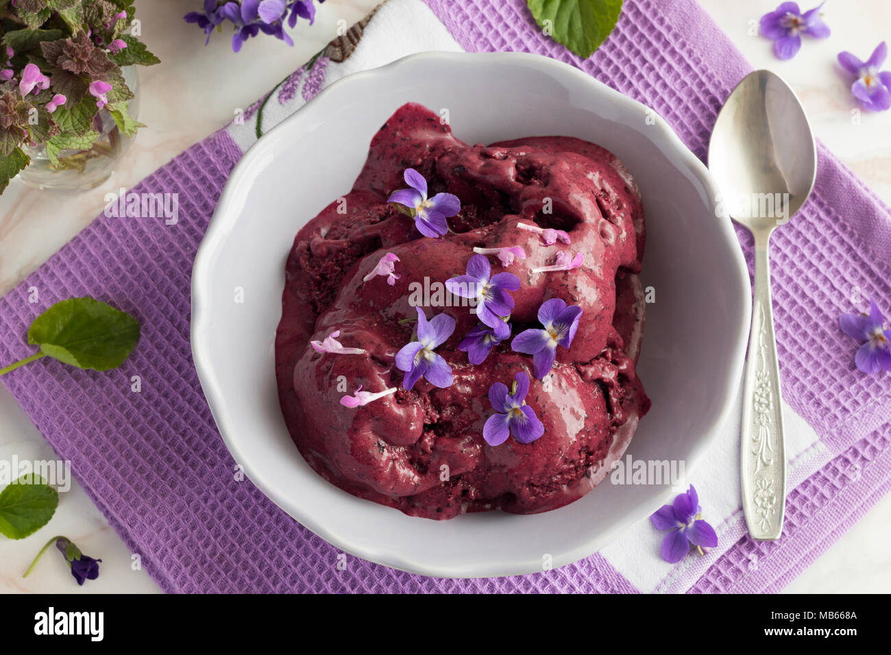 Homemade blueberry ice cream with fresh violet and red dead-nettle ...