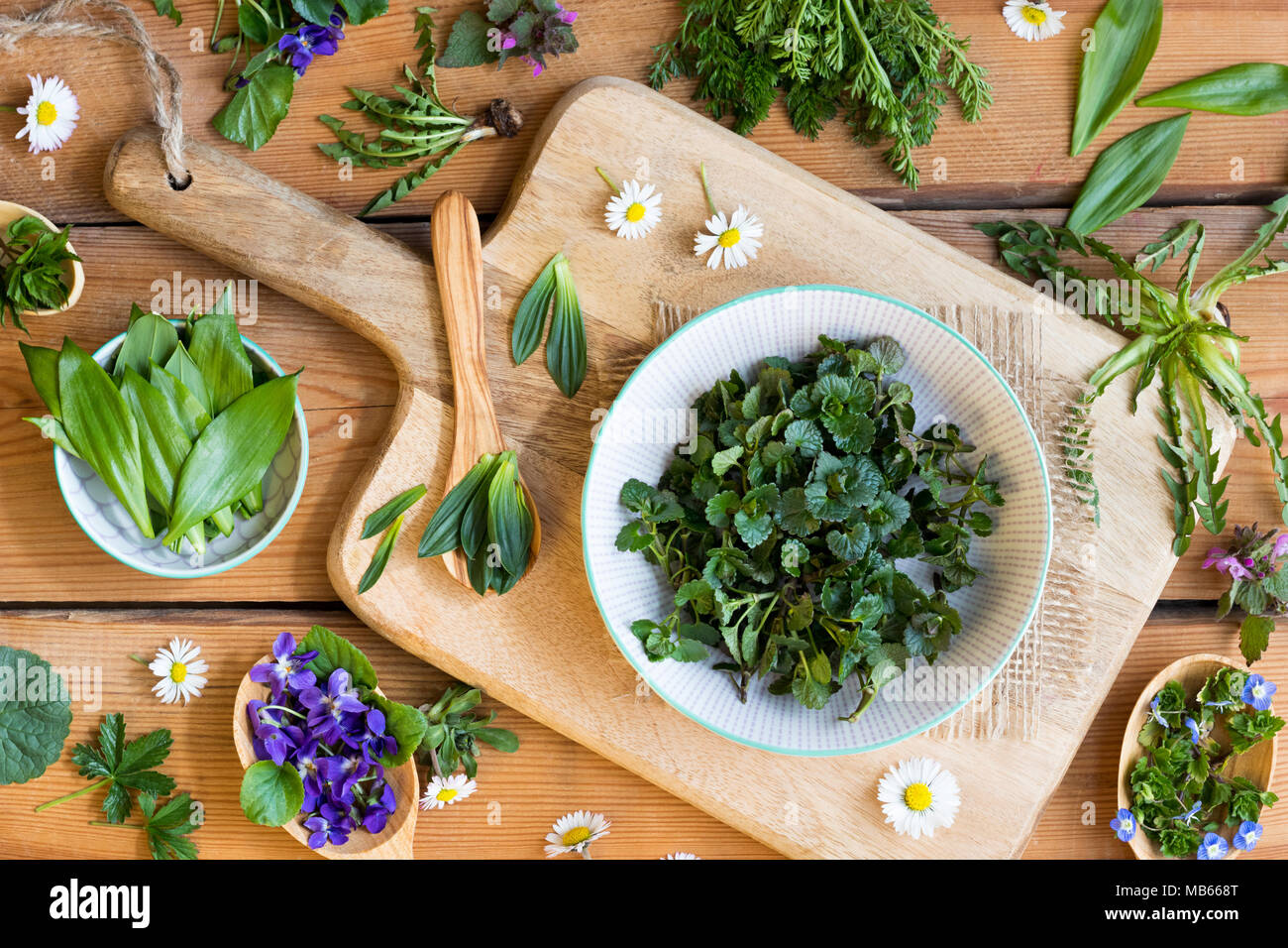 Fresh wild edible spring plants on a wooden table: ground-ivy, veronica ...