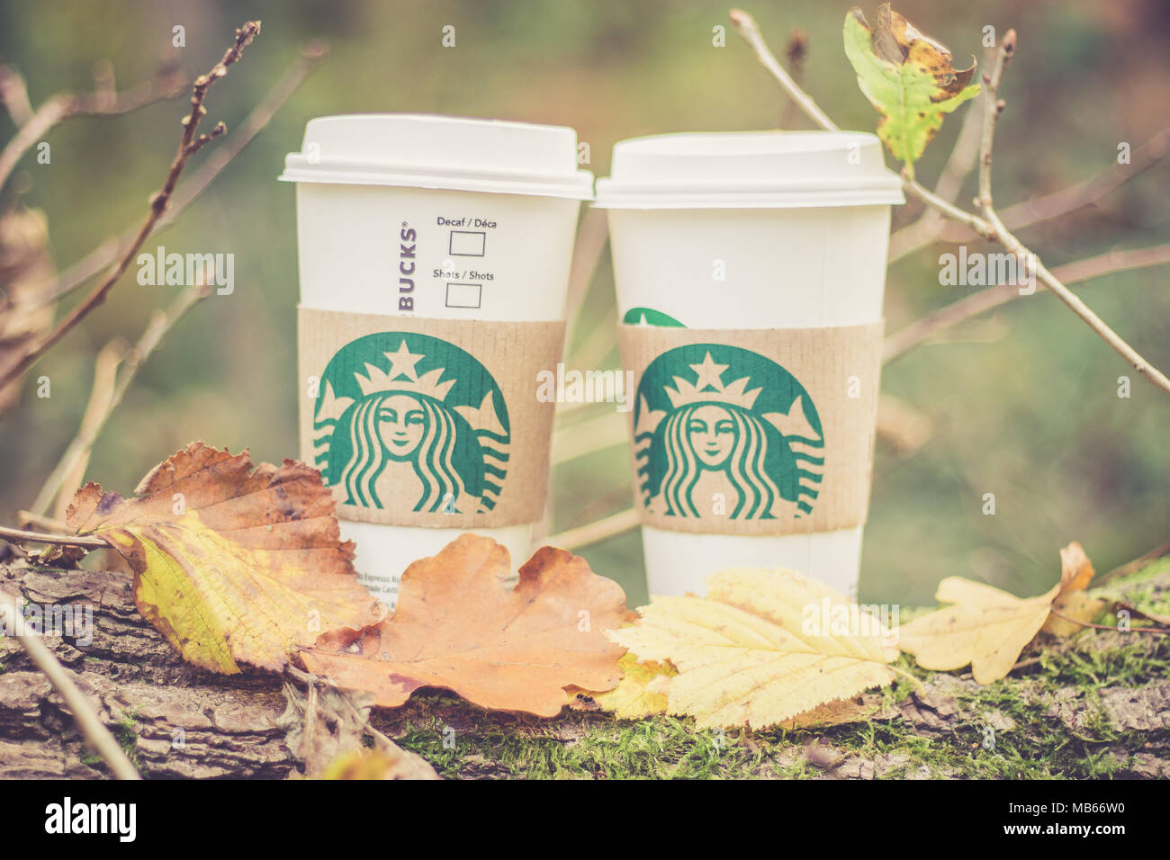 Starbucks coffee cups in Autumn/Fall setting Stock Photo - Alamy