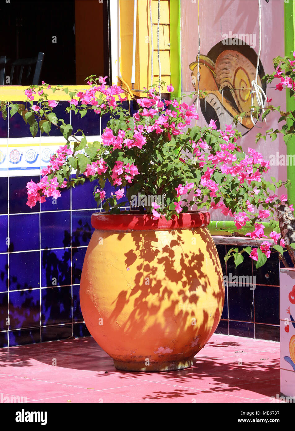 yellow flower pot with pink flowers sitting on pink floor with blue ...