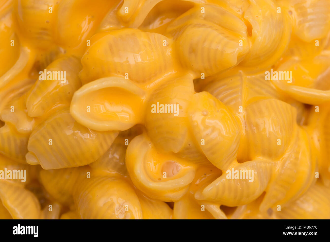 A Background of Creamy Macaroni Shells and Cheese Stock Photo - Alamy