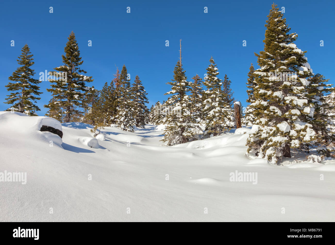 Tahoe landscape hi-res stock photography and images - Alamy