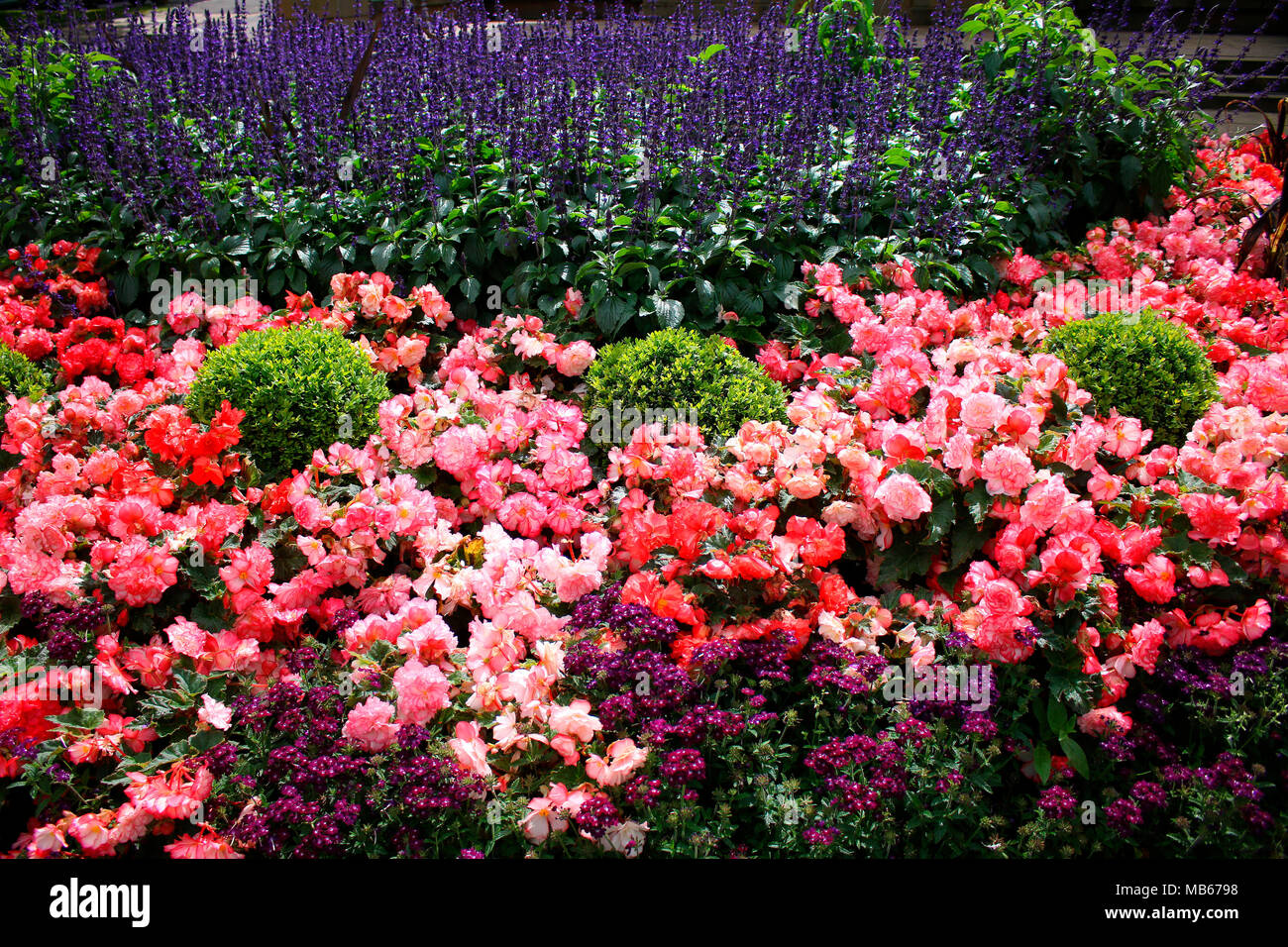 Blumenbeet hi-res stock photography and images - Alamy