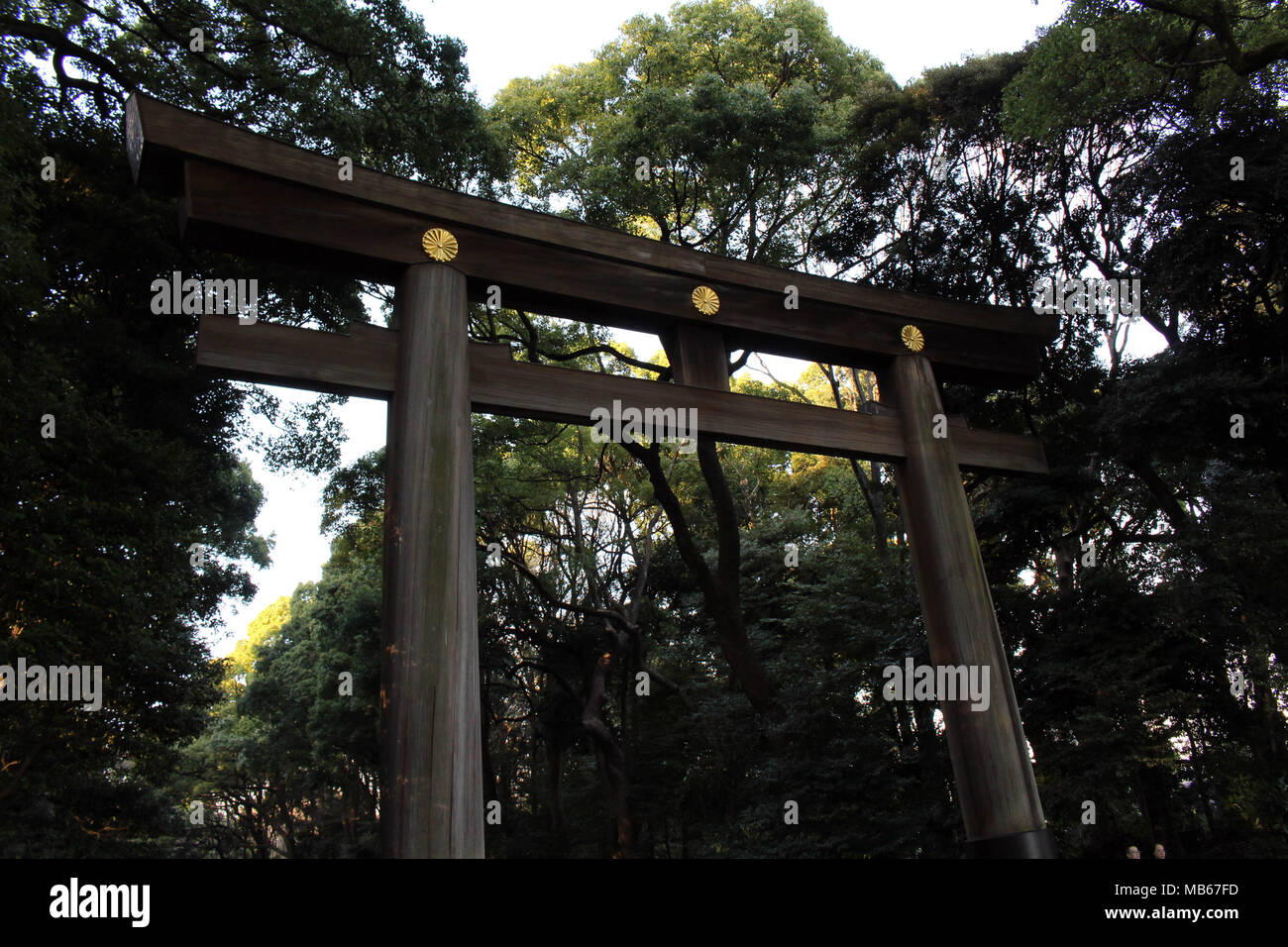 Around Meiji Jingu, a very popular Shinto shrine in the capital. Taken ...