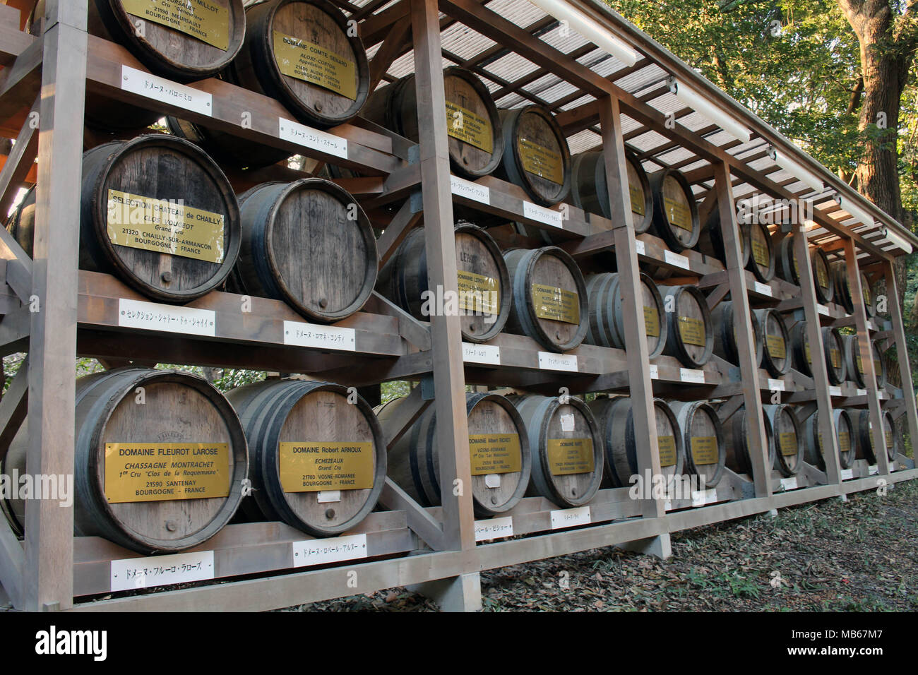 The drums of European wine and Japanese sake around Meiji Jingu shrine ...