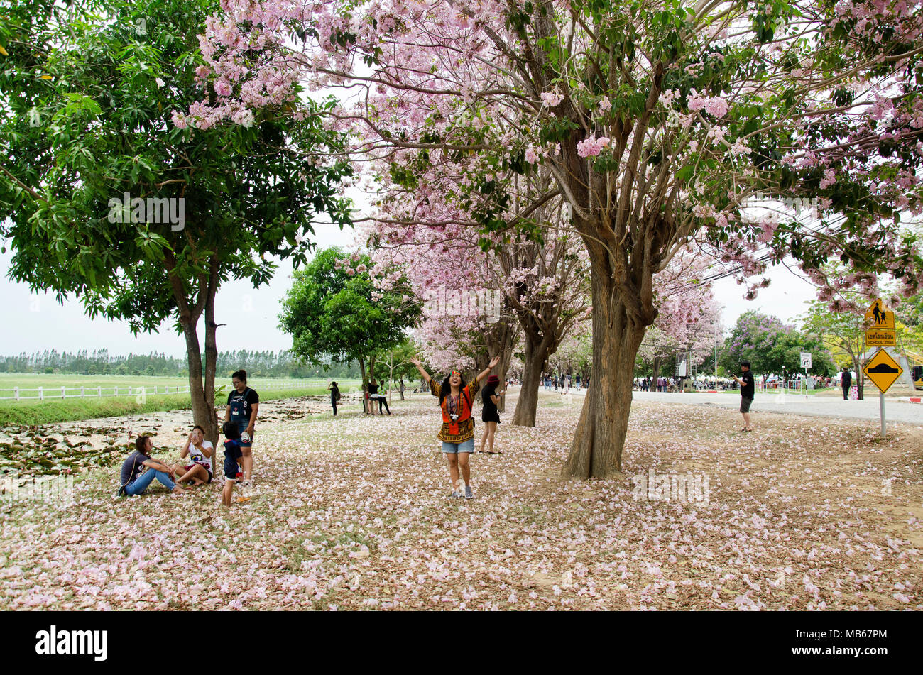 Throwing the flower bouquet hi-res stock photography and images - Alamy