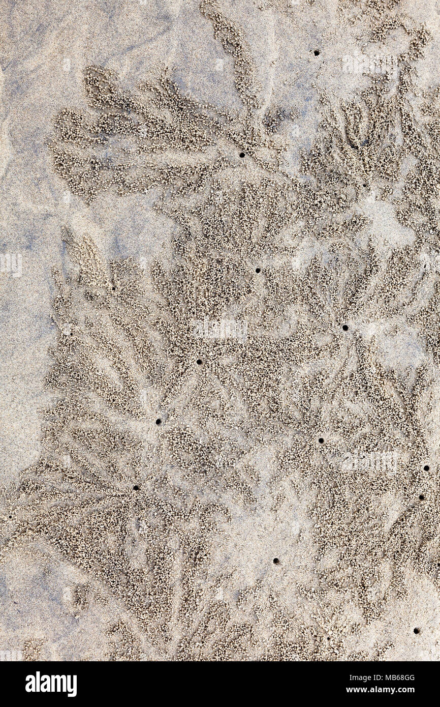 Textures and reliefs formed by water on beach sand Stock Photo - Alamy