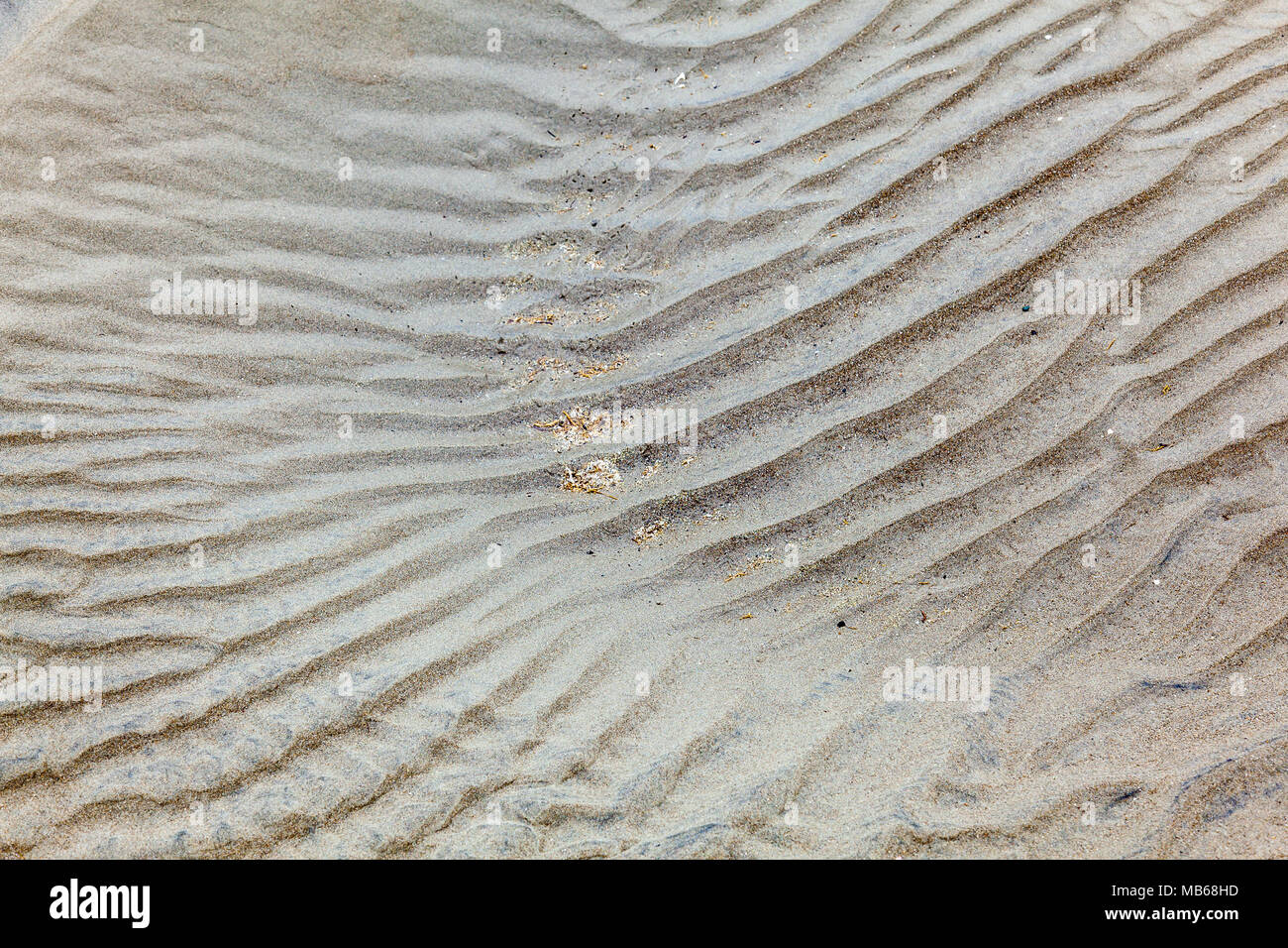 Textures and reliefs formed by water on beach sand Stock Photo - Alamy