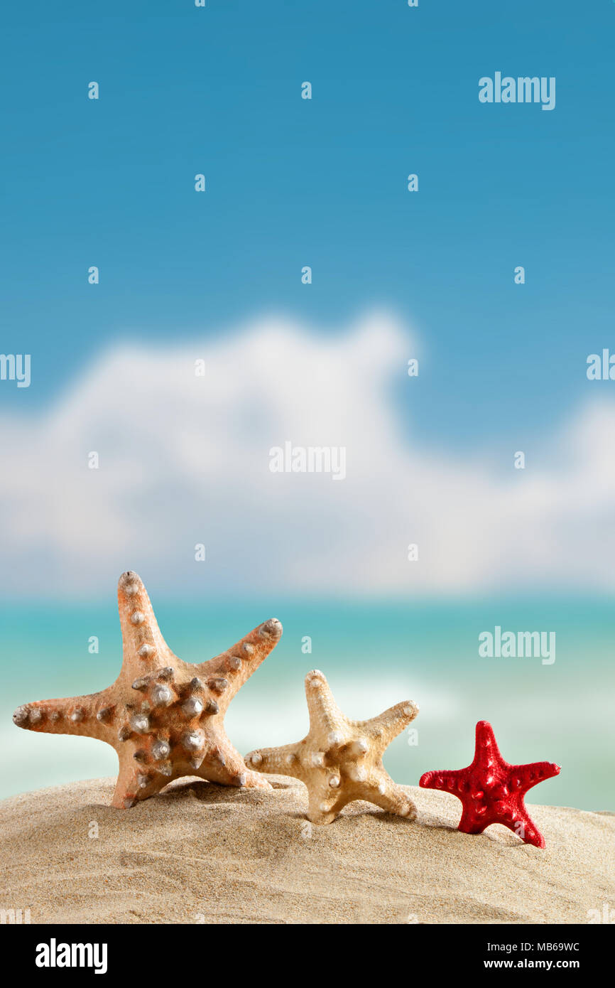 Starfish standing on the sea background . Suitable as a card Stock ...