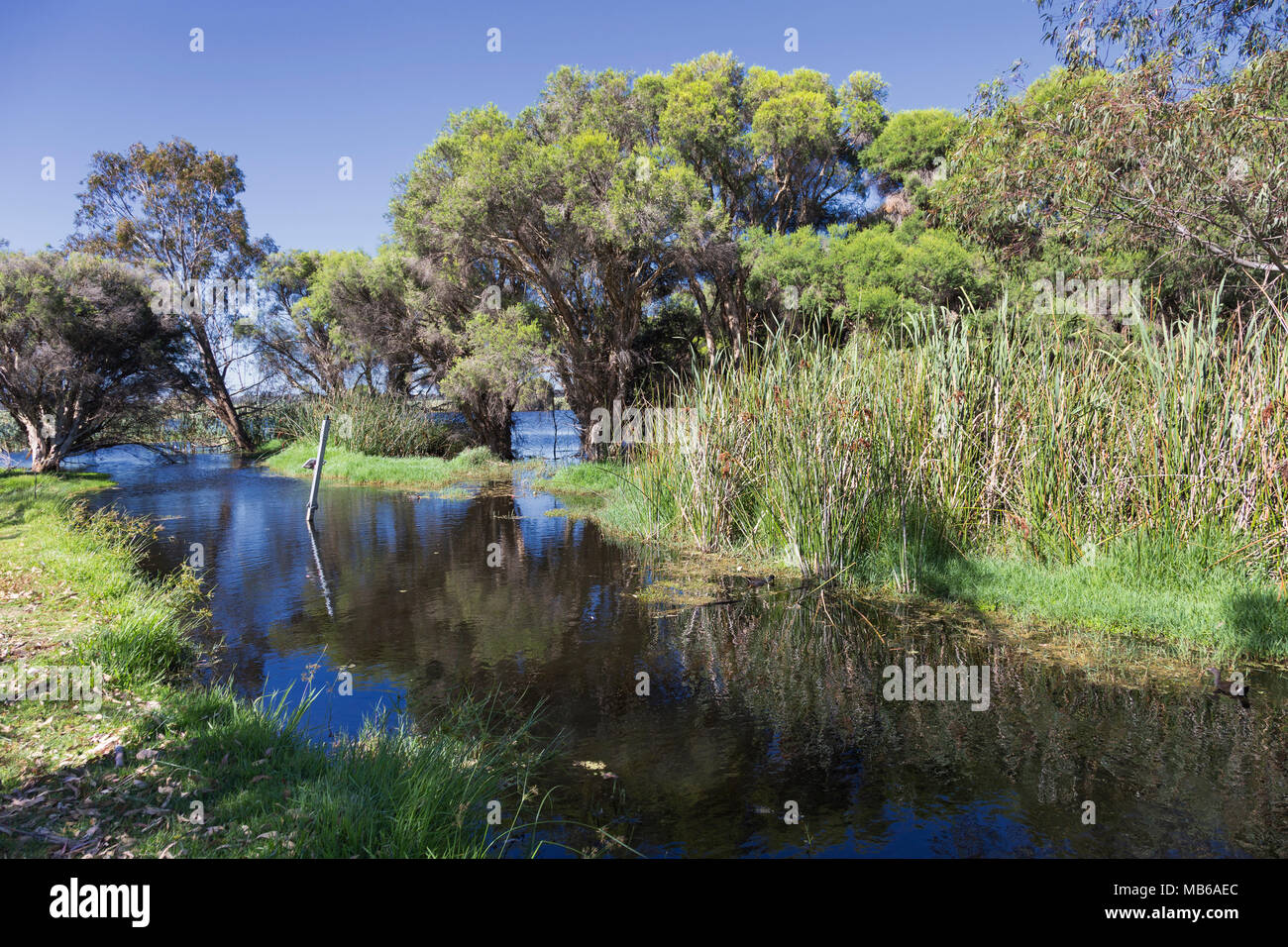 A water channel at Herdsman Lake, Perth, Western Australia Stock Photo ...