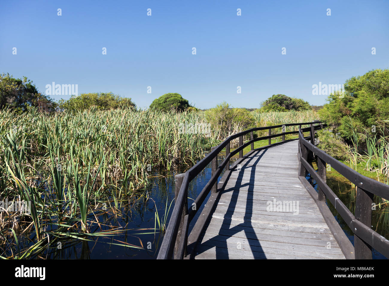 A boardwalk through the marsh at Herdsman Lake, Perth, Western ...