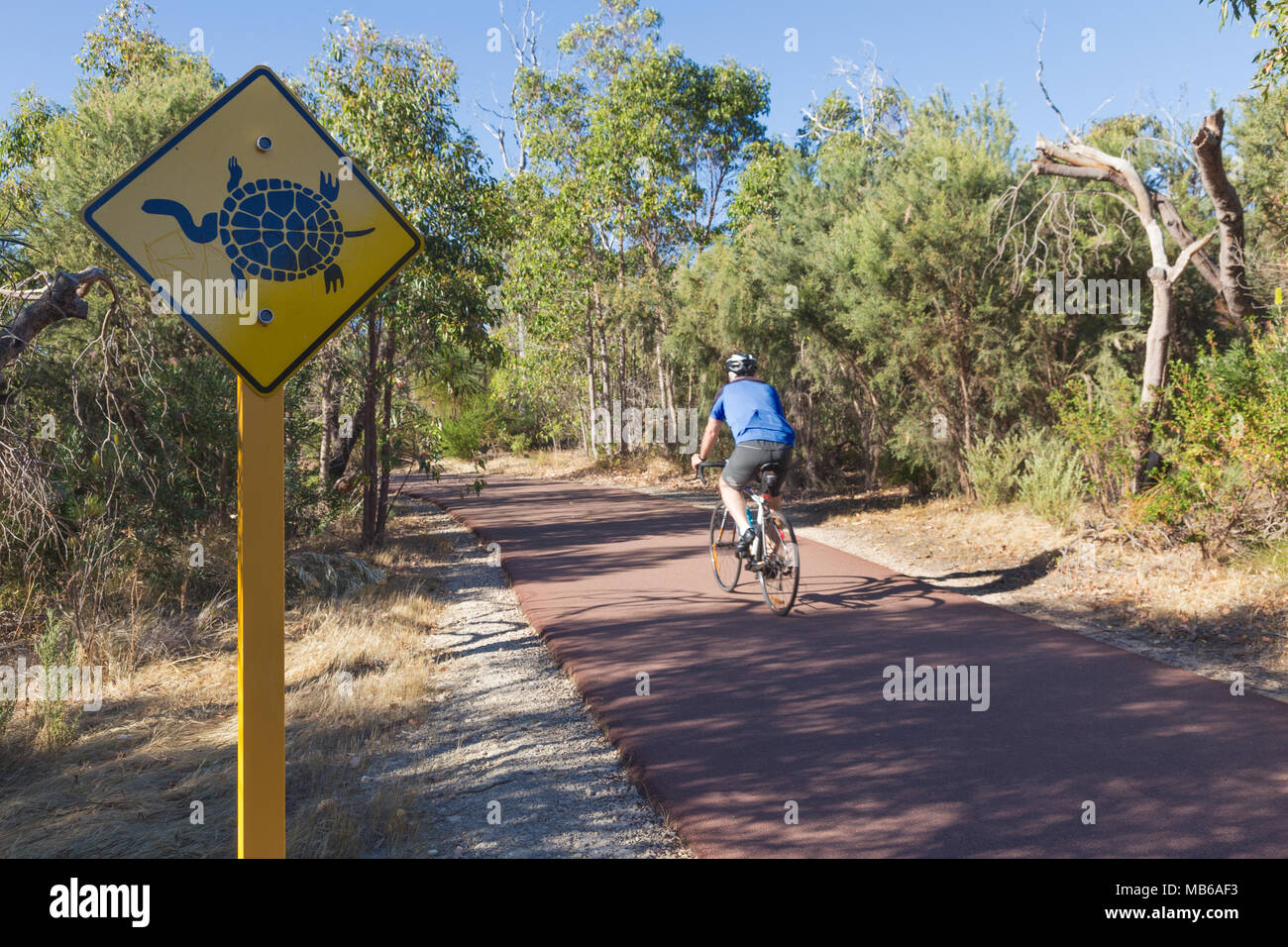 Long necked turtle hi-res stock photography and images - Alamy