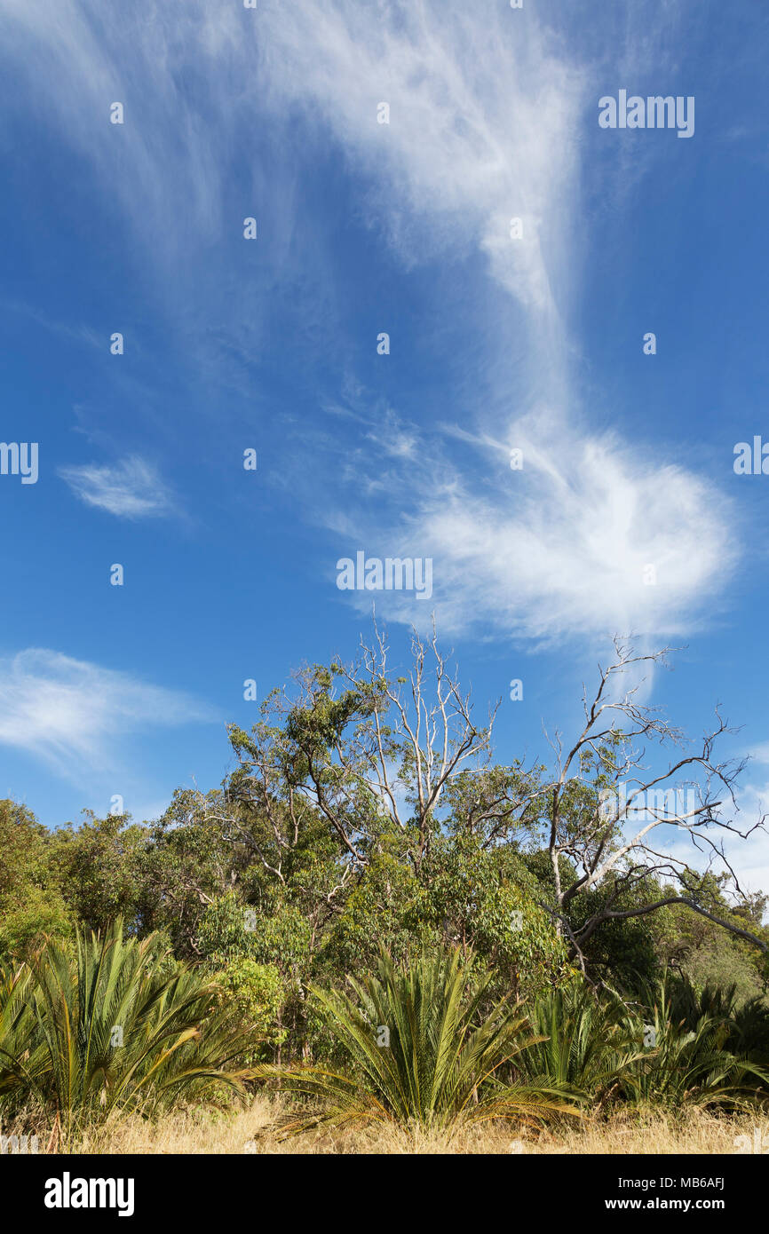 Cloud Wisps High Resolution Stock Photography and Images - Alamy