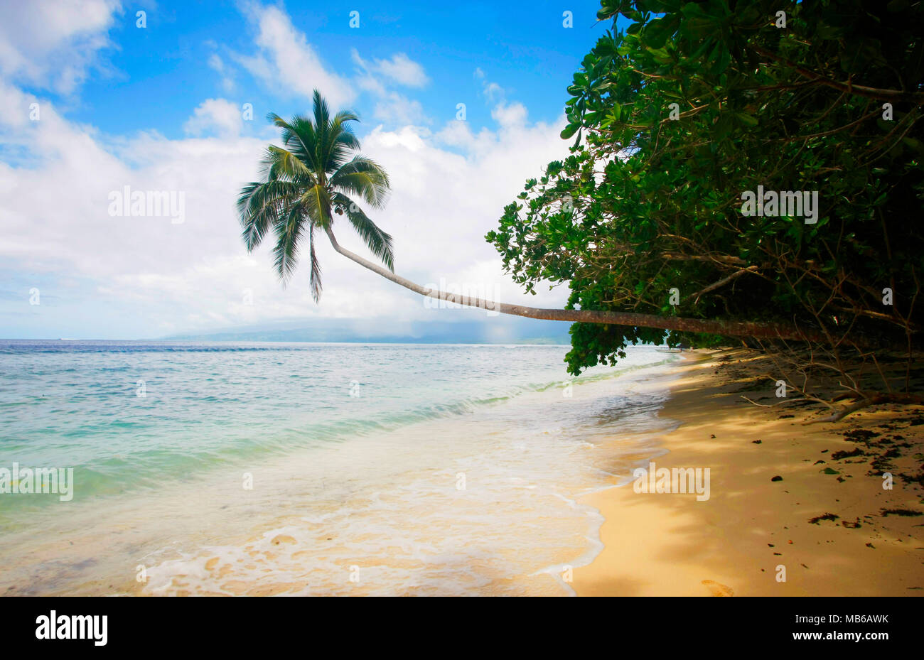 Beach and Palm Trees, Fiji-Islands, Oceania Stock Photo - Alamy