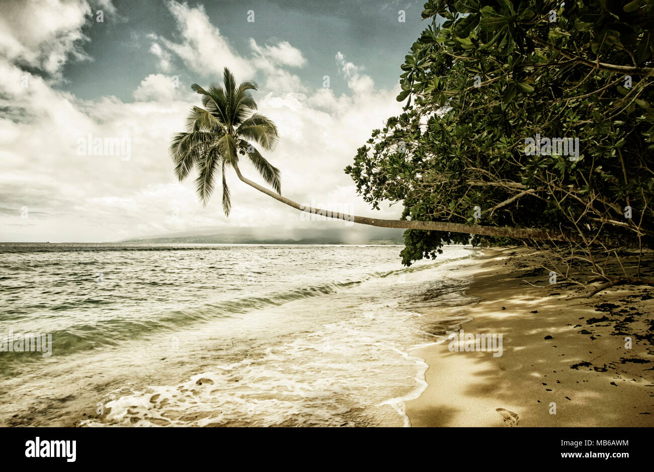 Beach and Palm Trees, Fiji-Islands, Oceania Stock Photo - Alamy
