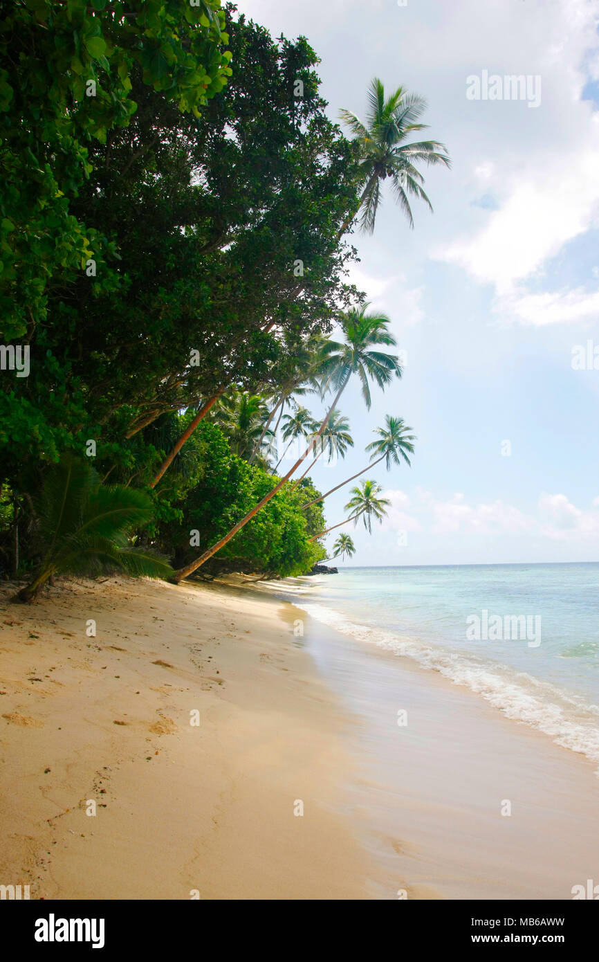 Beach and Palm Trees, Fiji-Islands, Oceania Stock Photo - Alamy