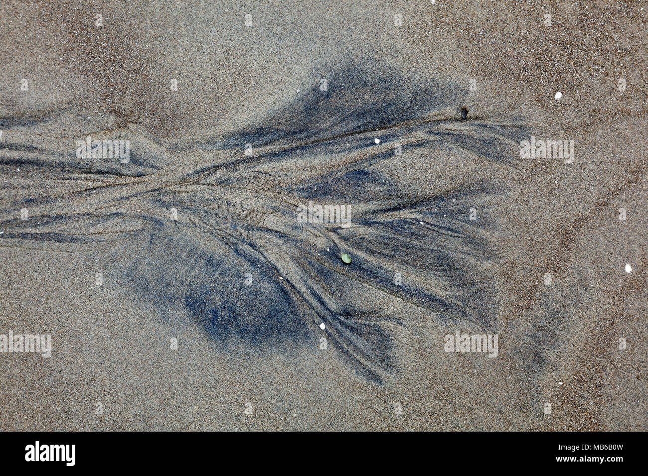 Textures and reliefs formed by water on beach sand Stock Photo - Alamy