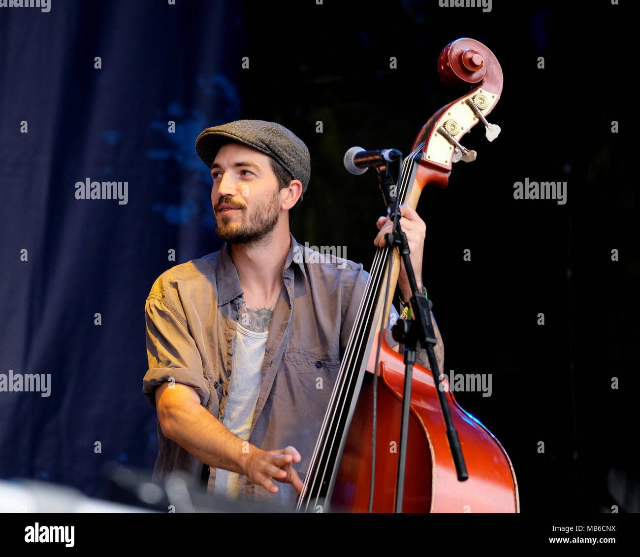Dan Edwards double bass player with CC Smugglers at Cropredy Festival ...
