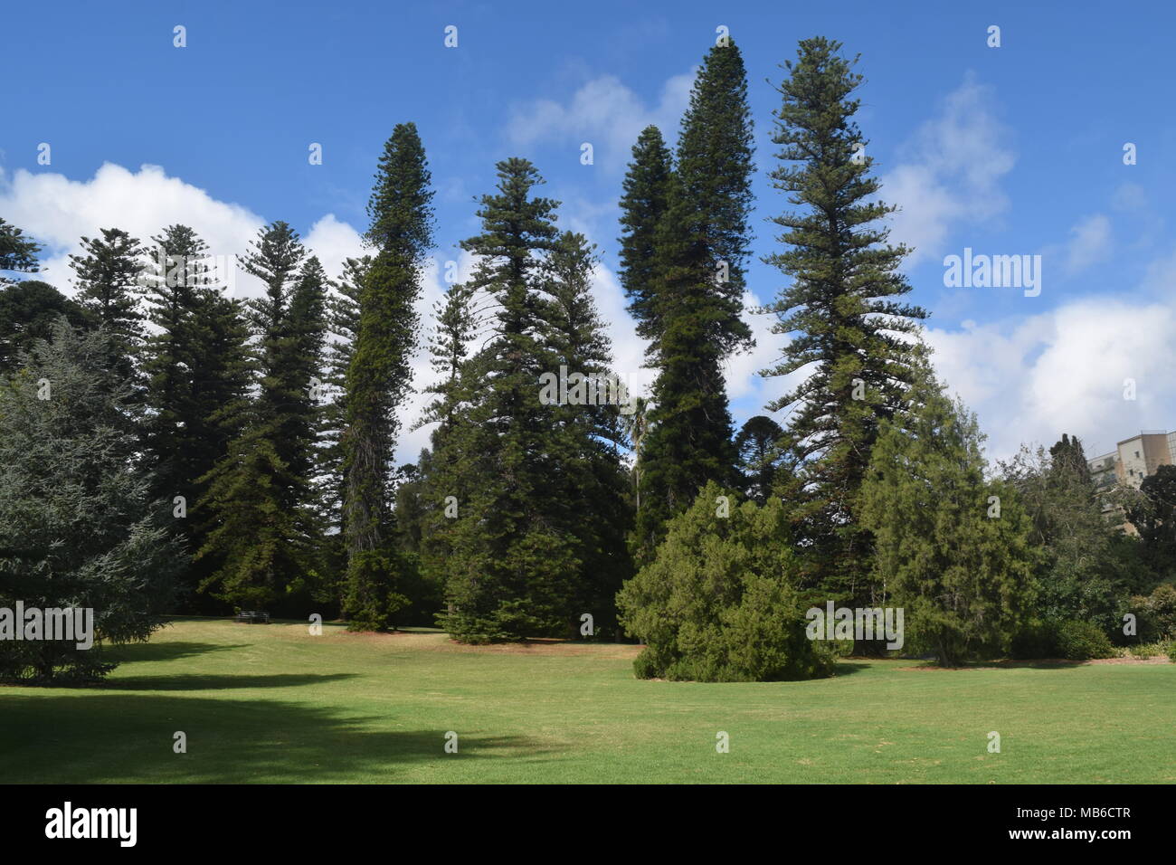 Botanic Garden, Adelaide, Australia Stock Photo - Alamy